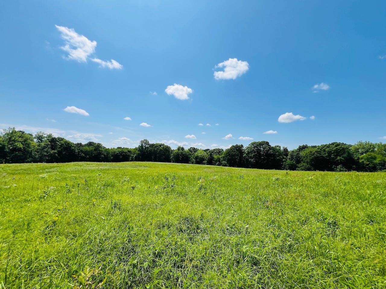 Skillman Monarch Ln, Hardinsburg, KY 40143 | LandWatch