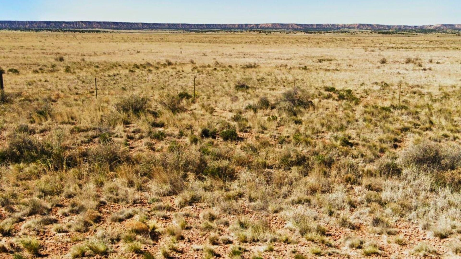 2.51 acres in Sanders, AZ, 86512 | LandWatch