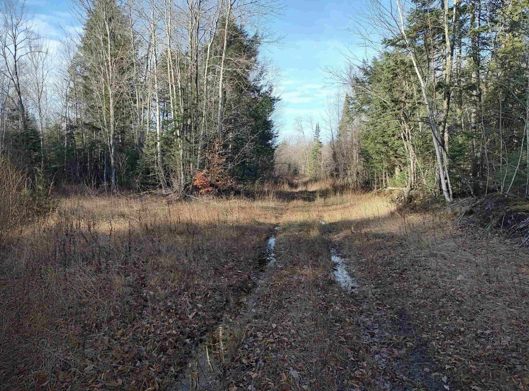 TBD Billie Helmer Road, Deerton, MI 49822 | MLS: 11559643 | LandWatch