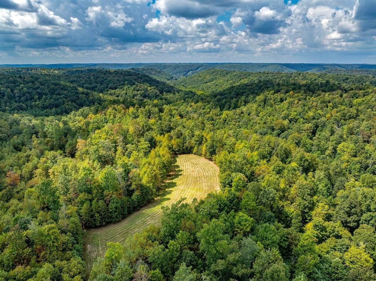 1335 Greenbriar Road, Wallingford, KY 41093 | MLS: RA20255106 | LandWatch
