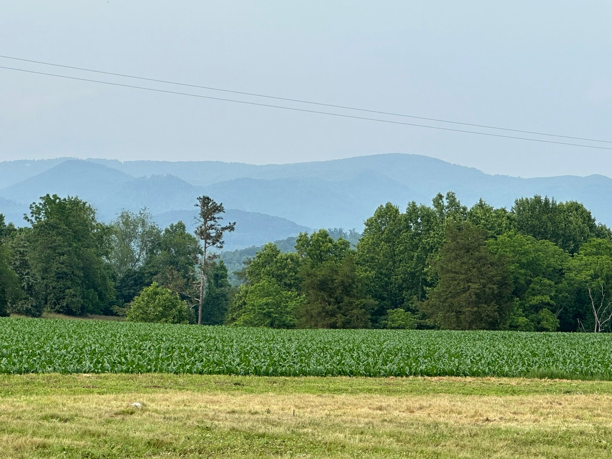 Christian Home Baptist Church, Traphill, NC 28685 | MLS: 1190550 ...