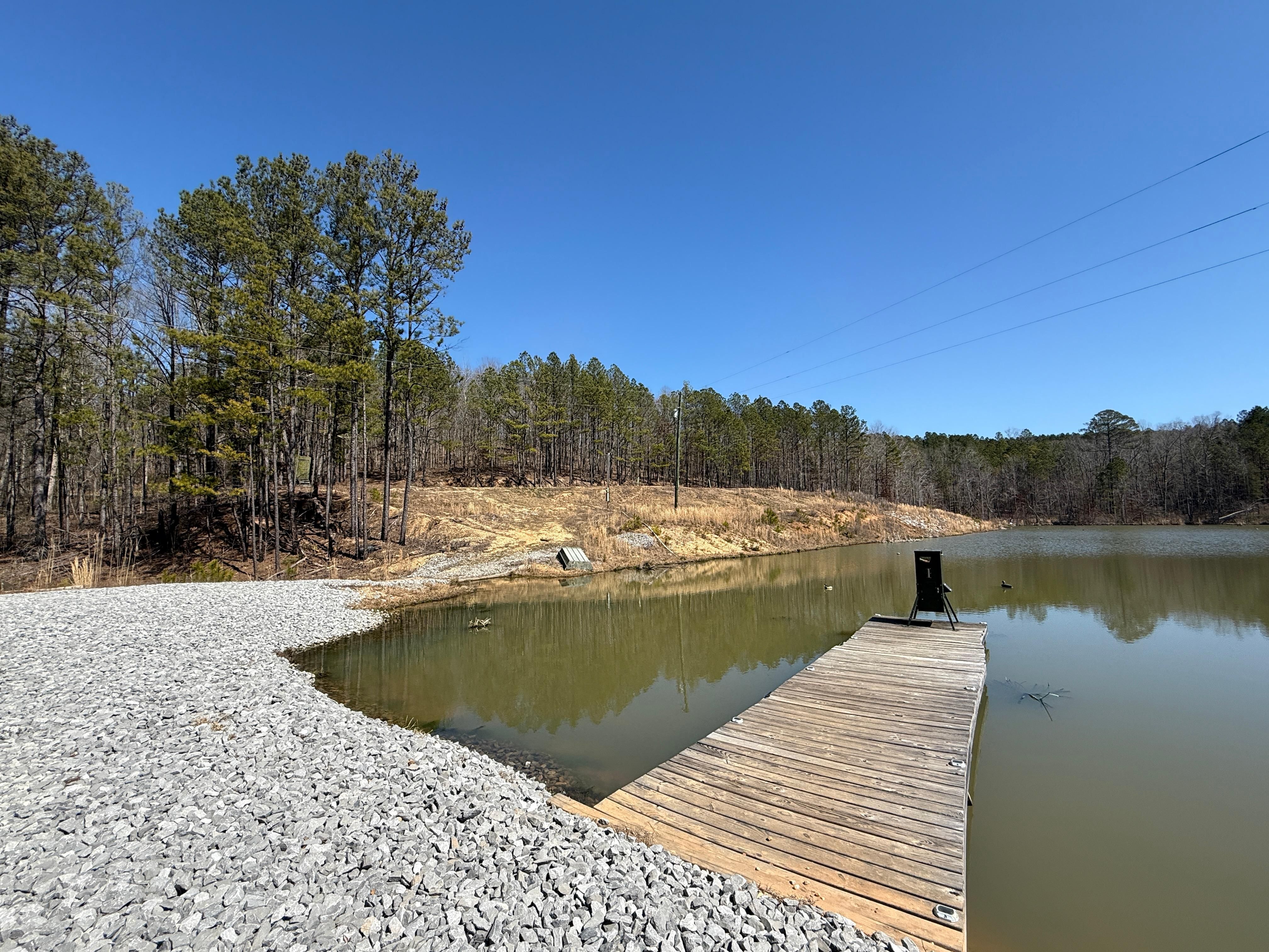 000 Reese Road, Guin, AL 35563 | LandWatch