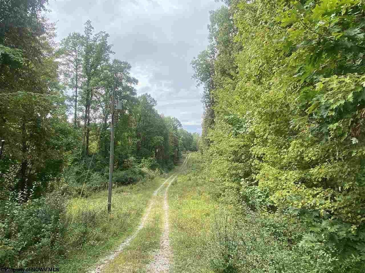 TBD Helen's Run Road, Worthington, WV 26591 | MLS: 10161542 | LandWatch