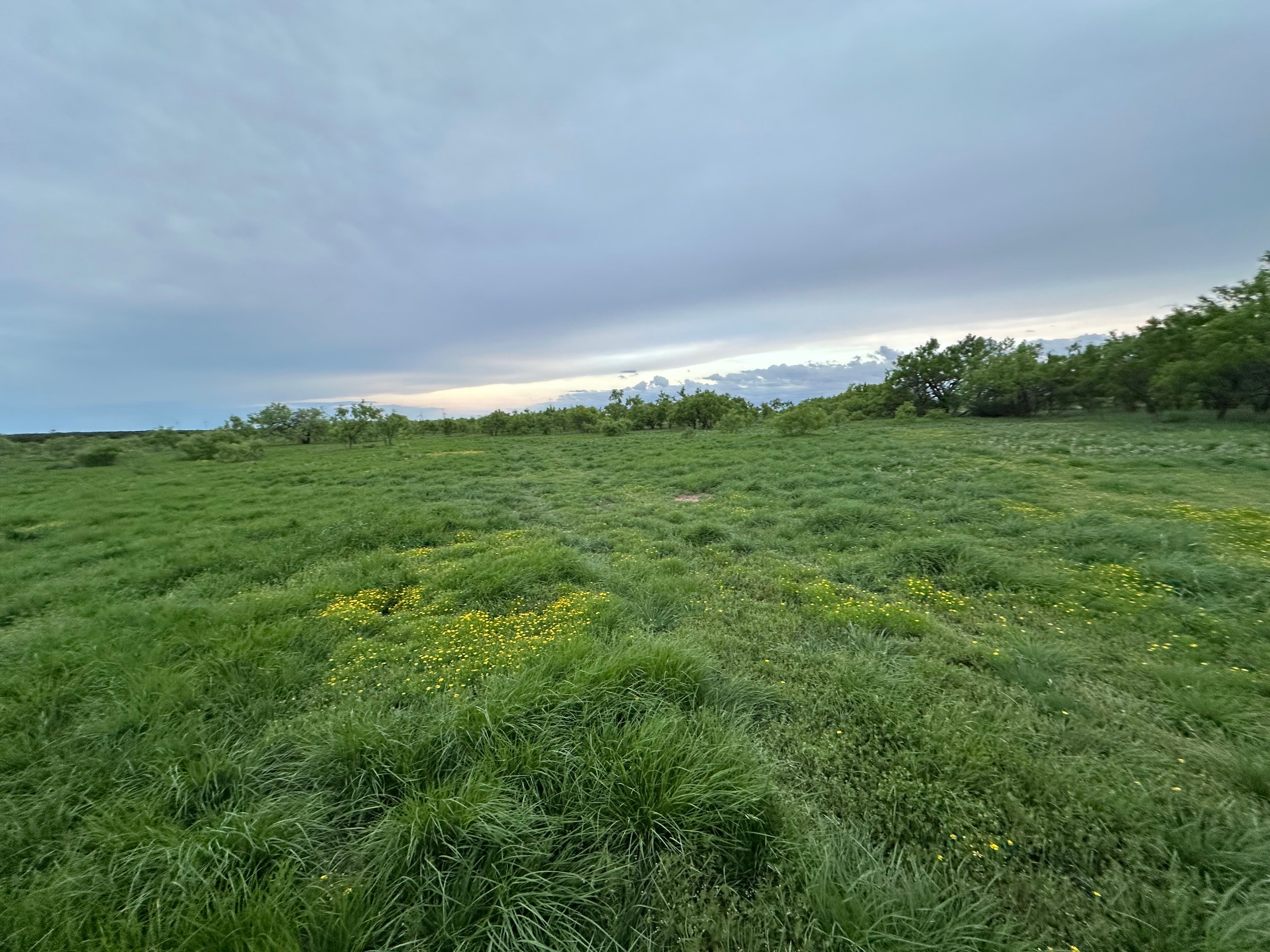 209 County Road 310, Nolan, TX 79556 | LandWatch