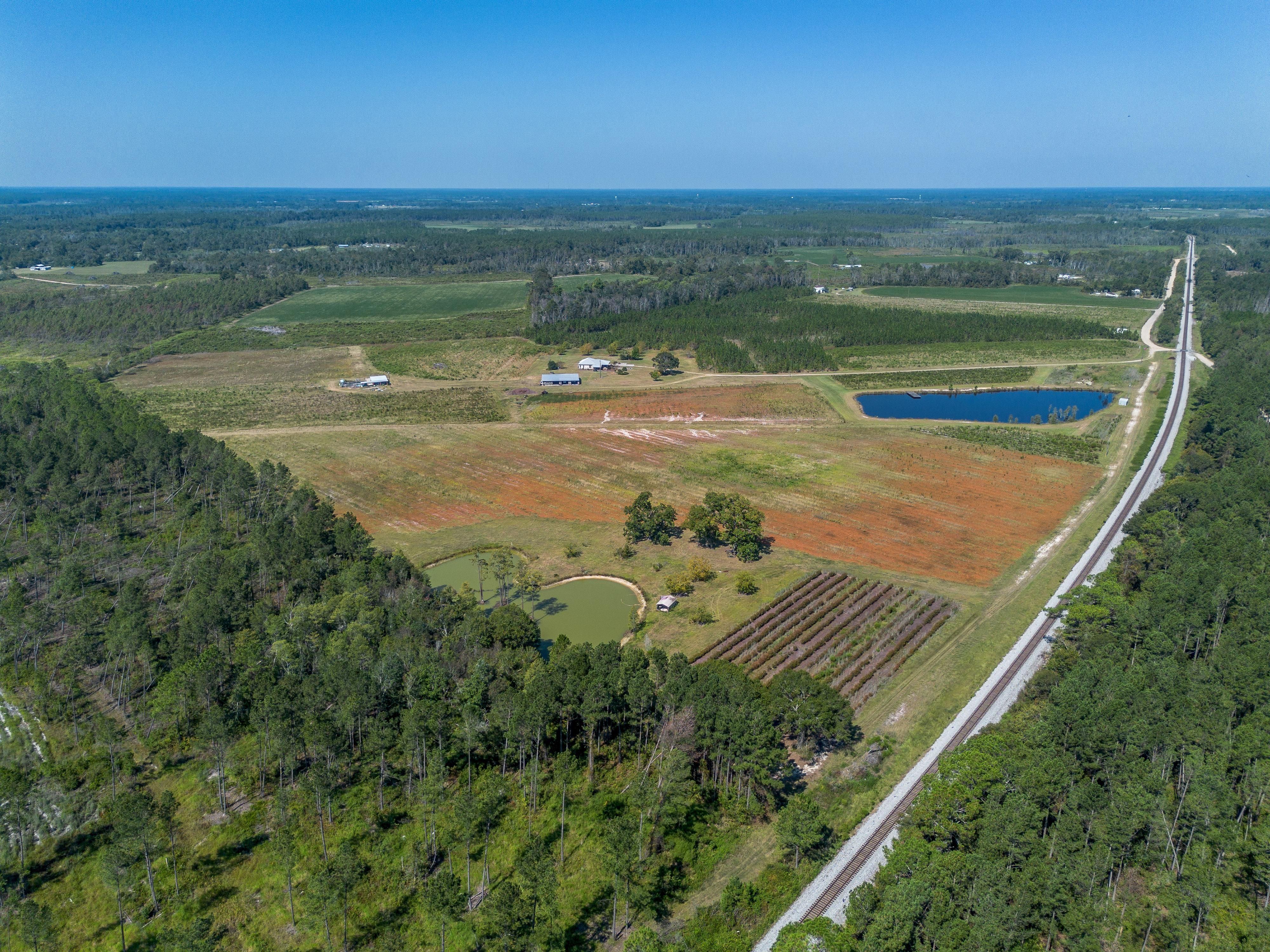 159 Jabbers Ln, Nicholls, GA 31554 | MLS: 10608343 | LandWatch