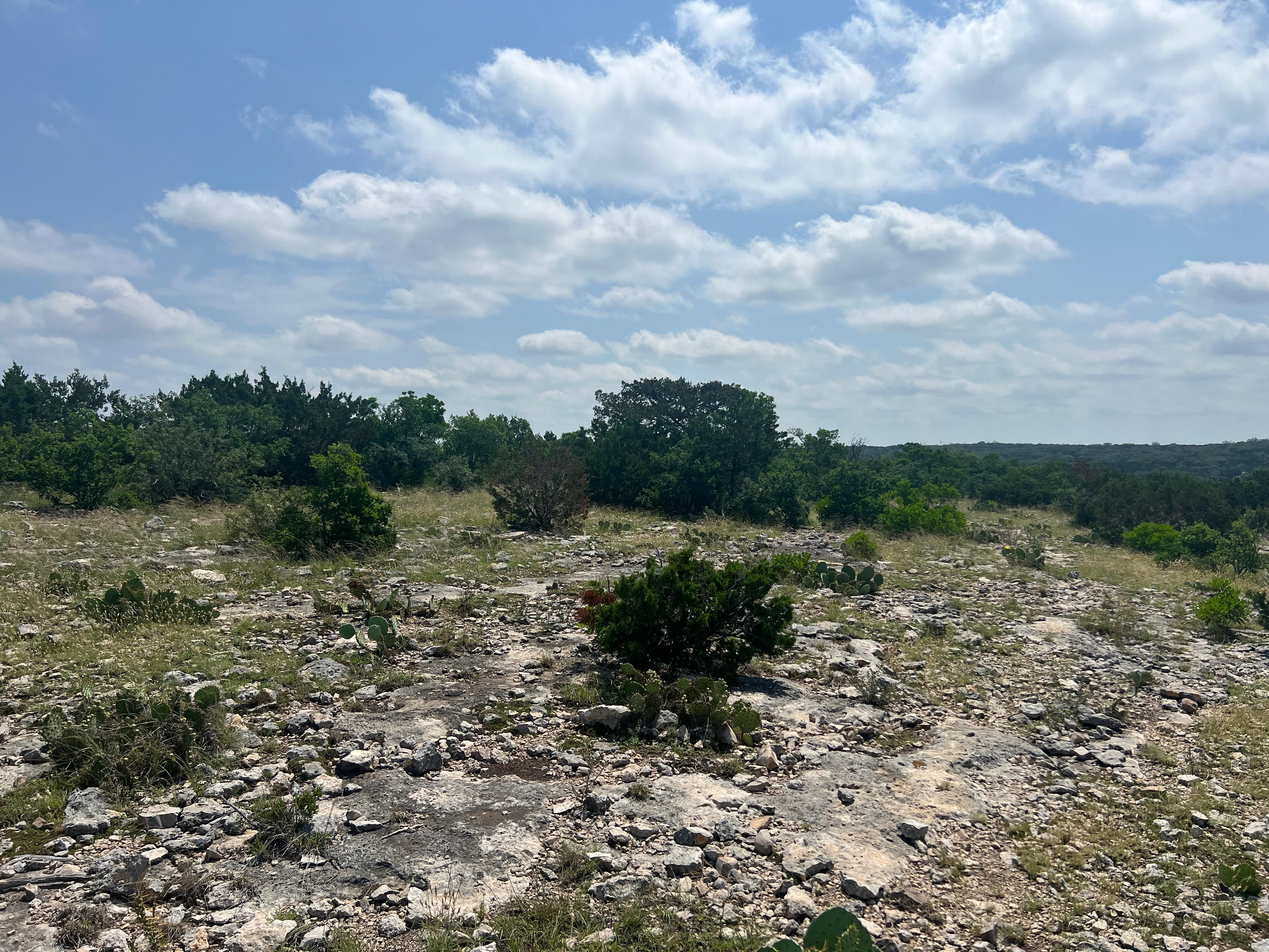 33.35 acres in Rocksprings, TX, 78880 | MLS: Axis, Live oaks, Whitetail ...