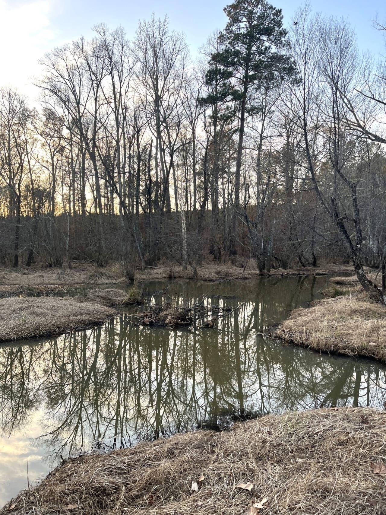 0 Warren Chapel Rd, Sparta, GA 31087 | LandWatch