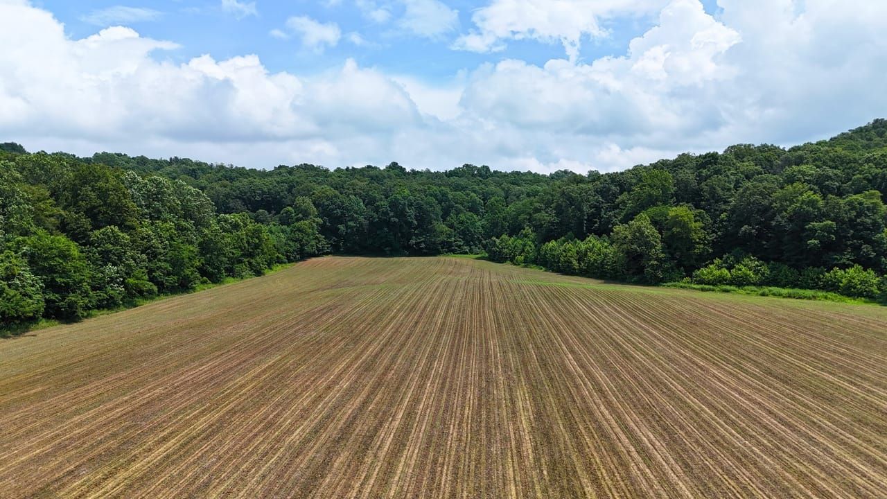 High Gap Rd, Shoals, IN 47581 | LandWatch