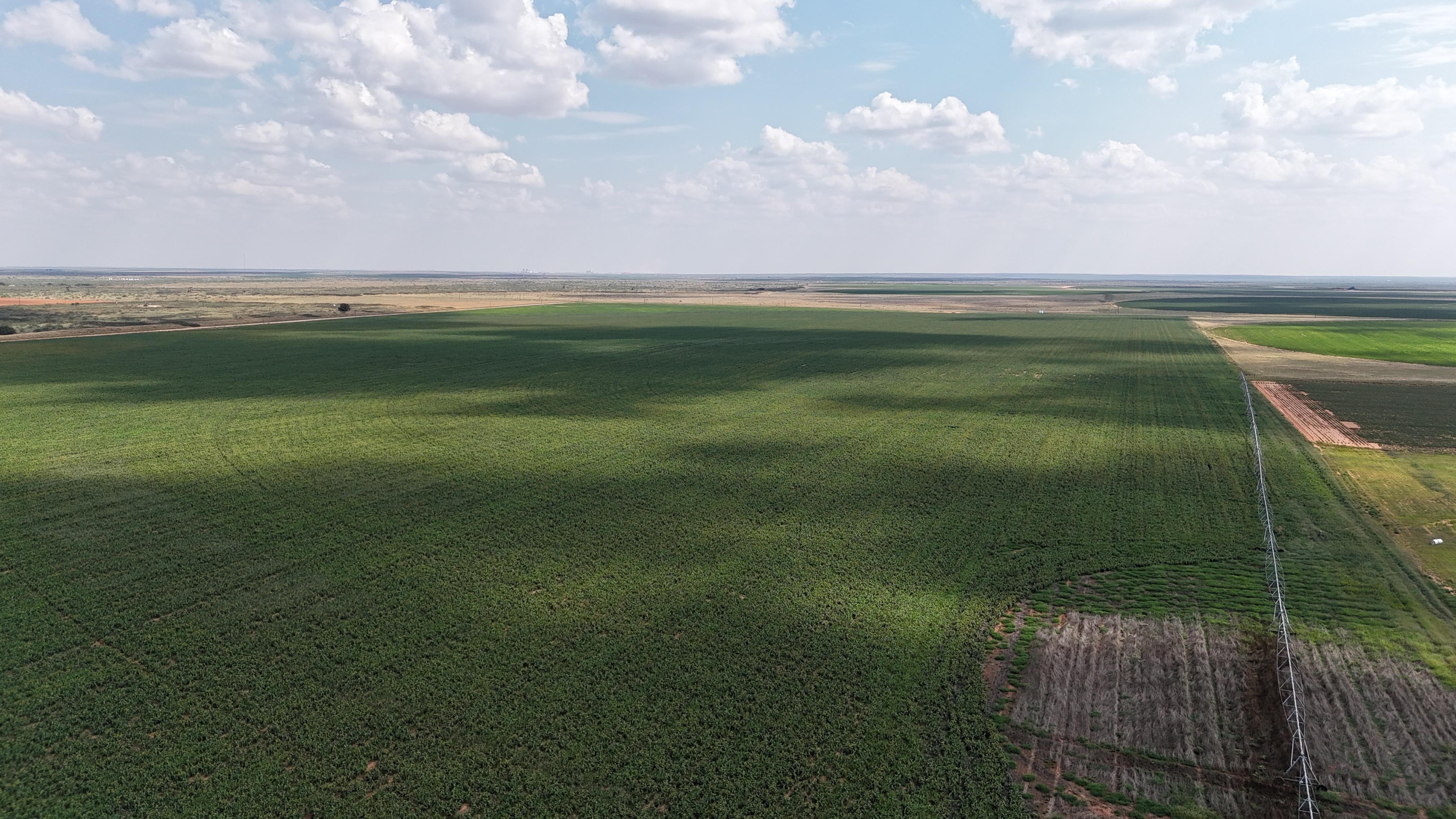 1,040 acres in Welch, TX, 79377 | LandWatch