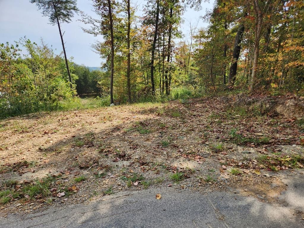 00 Routt Rd., Wallingford, KY 41093 | MLS: 43964 | LandWatch