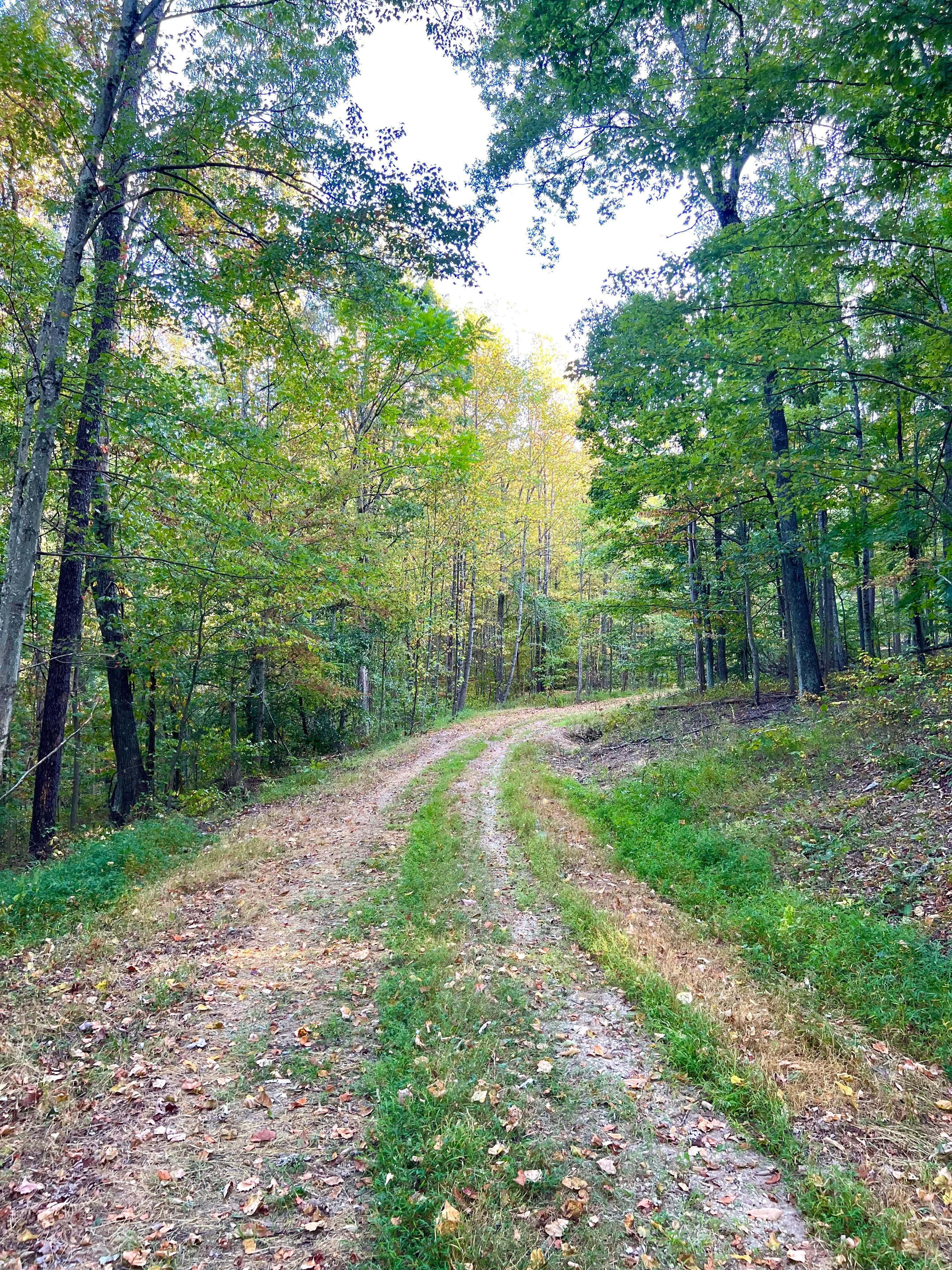 289.7 acres in Peebles, OH, 45660 | MLS: 1855962 | LandWatch