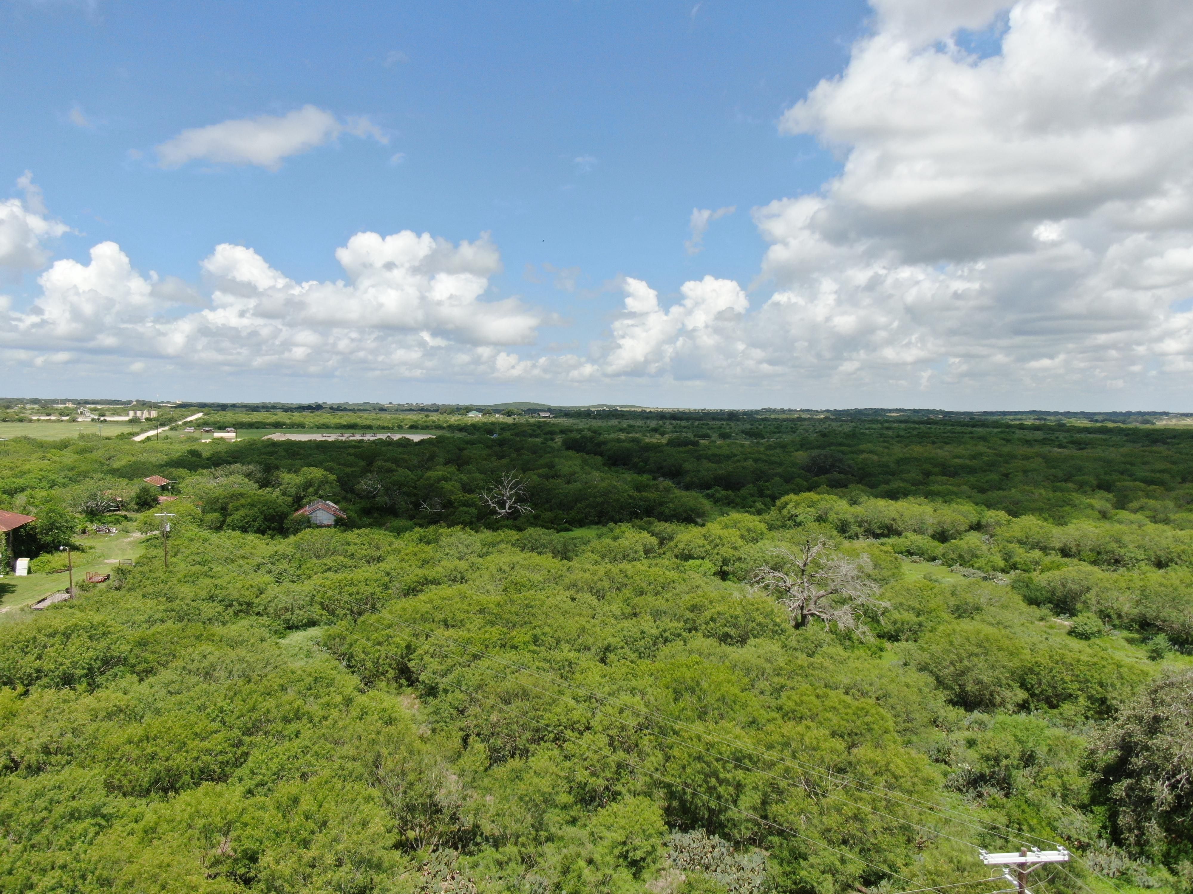 20 acres in Hobson, TX, 78117 | LandWatch