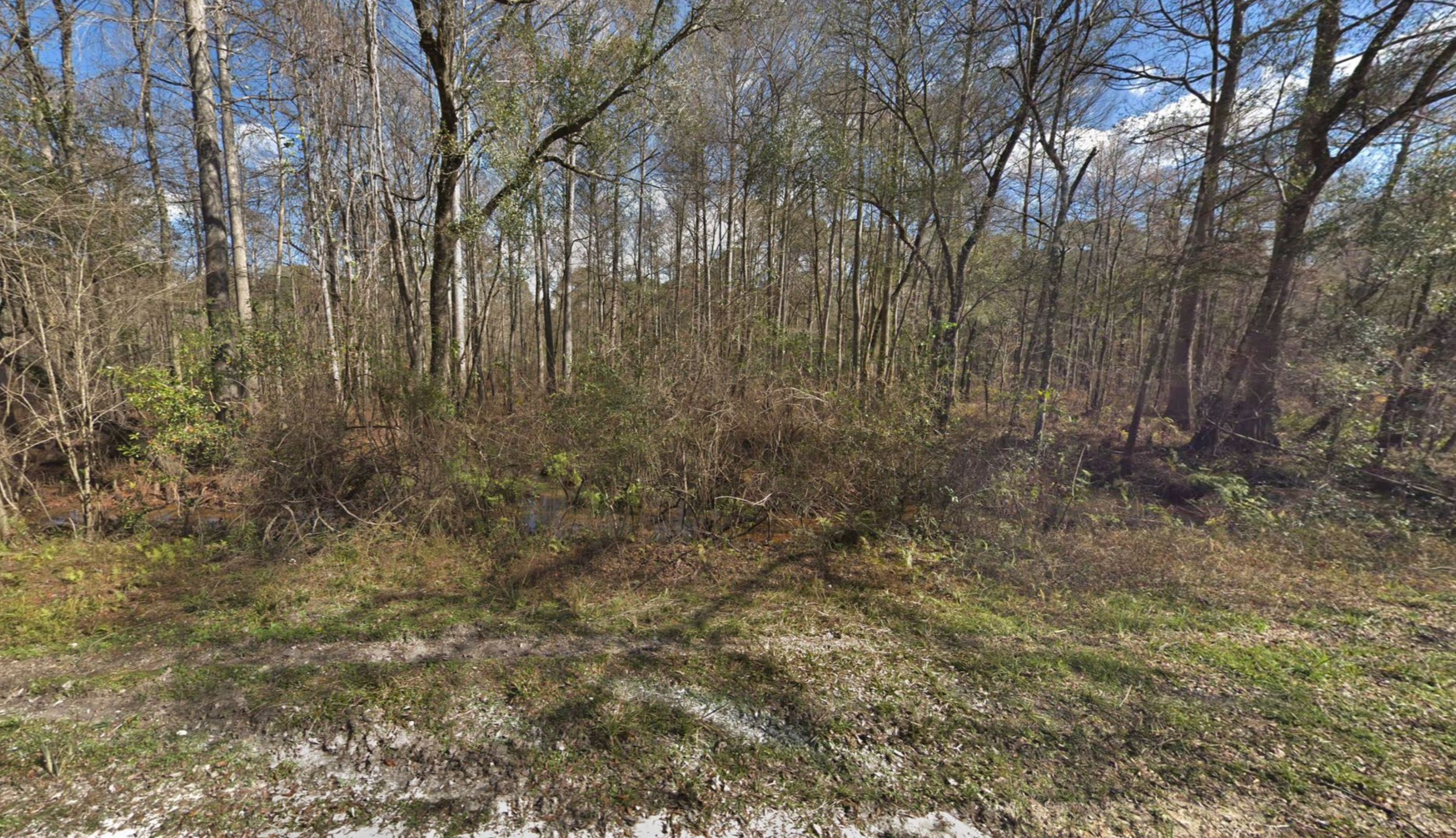 Packingham Drive, Webster, FL 33597 | LandWatch