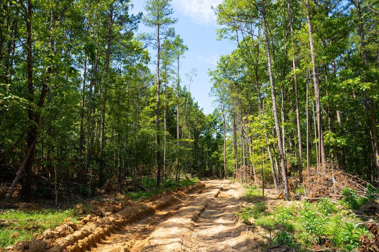 000 NN Highway, Grandin, MO 63943 | MLS: 25052262 | LandWatch