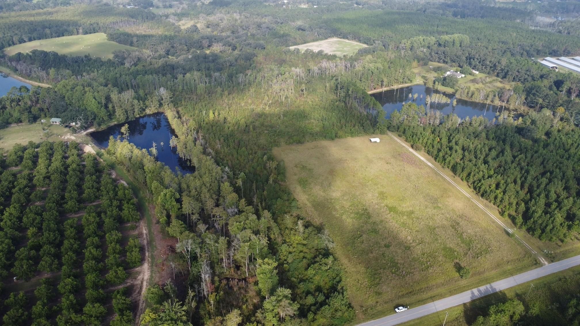 Beards Creek Church Road, Glennville, GA 30427 | MLS: 10610872 | LandWatch