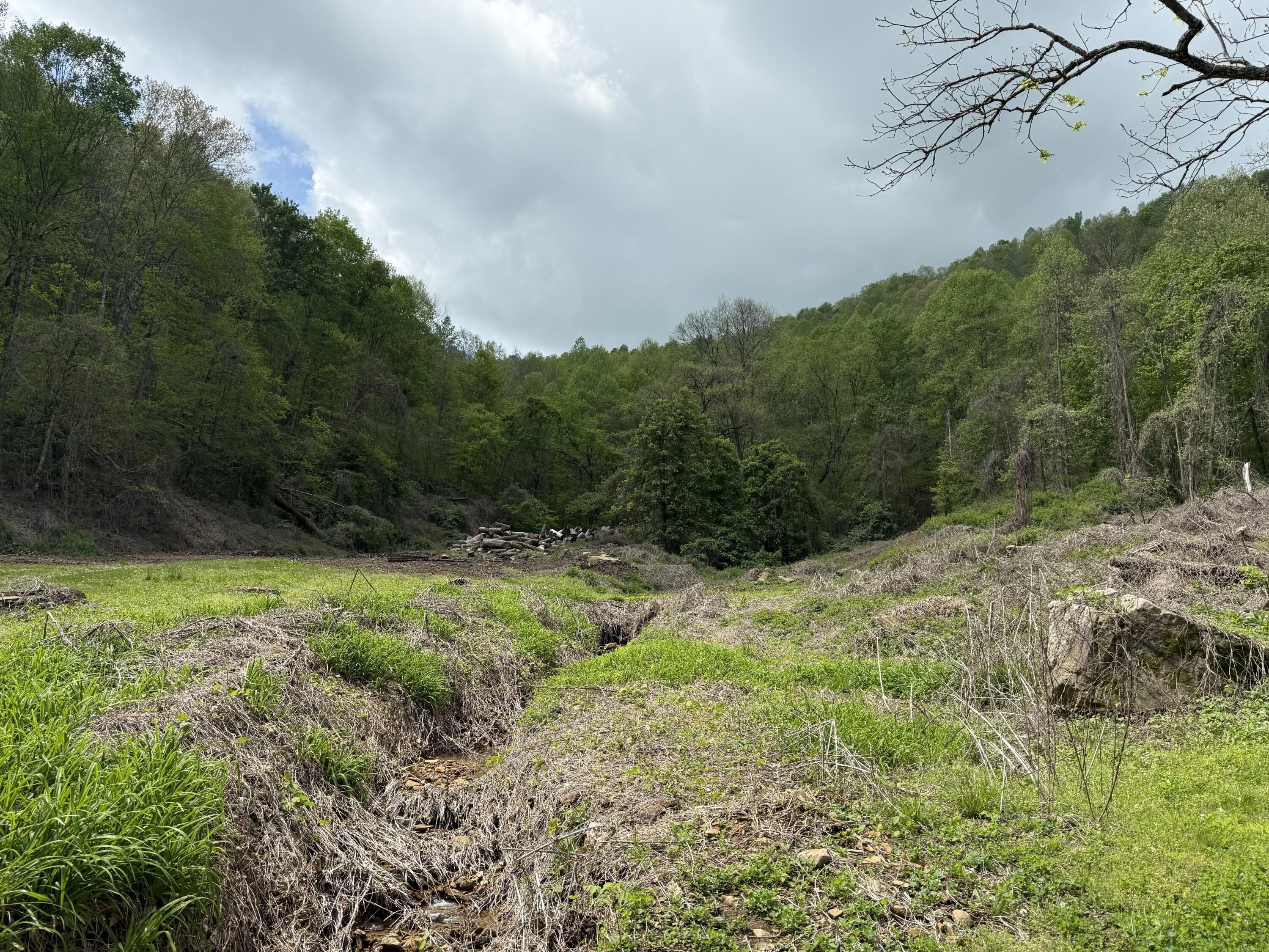 460 Bailey Branch Road, Walker, KY 40997 | MLS: 25008595 | LandWatch