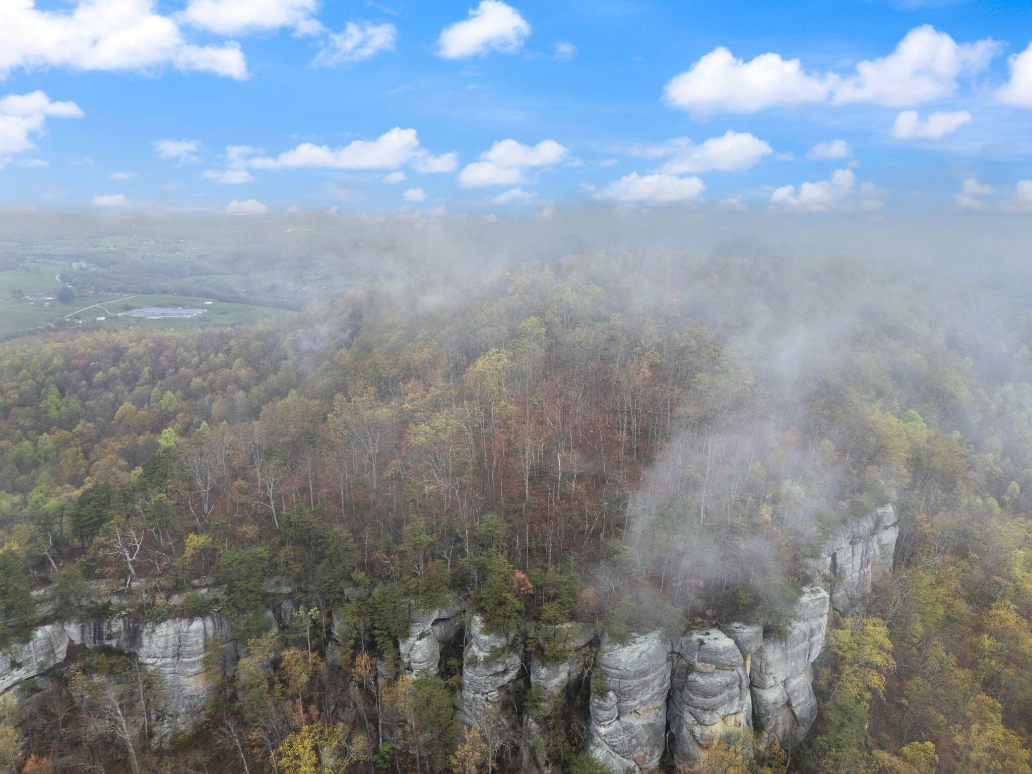 110051 200 Highway lot: Ky, Monticello, KY 42633 | MLS: 25007448 ...