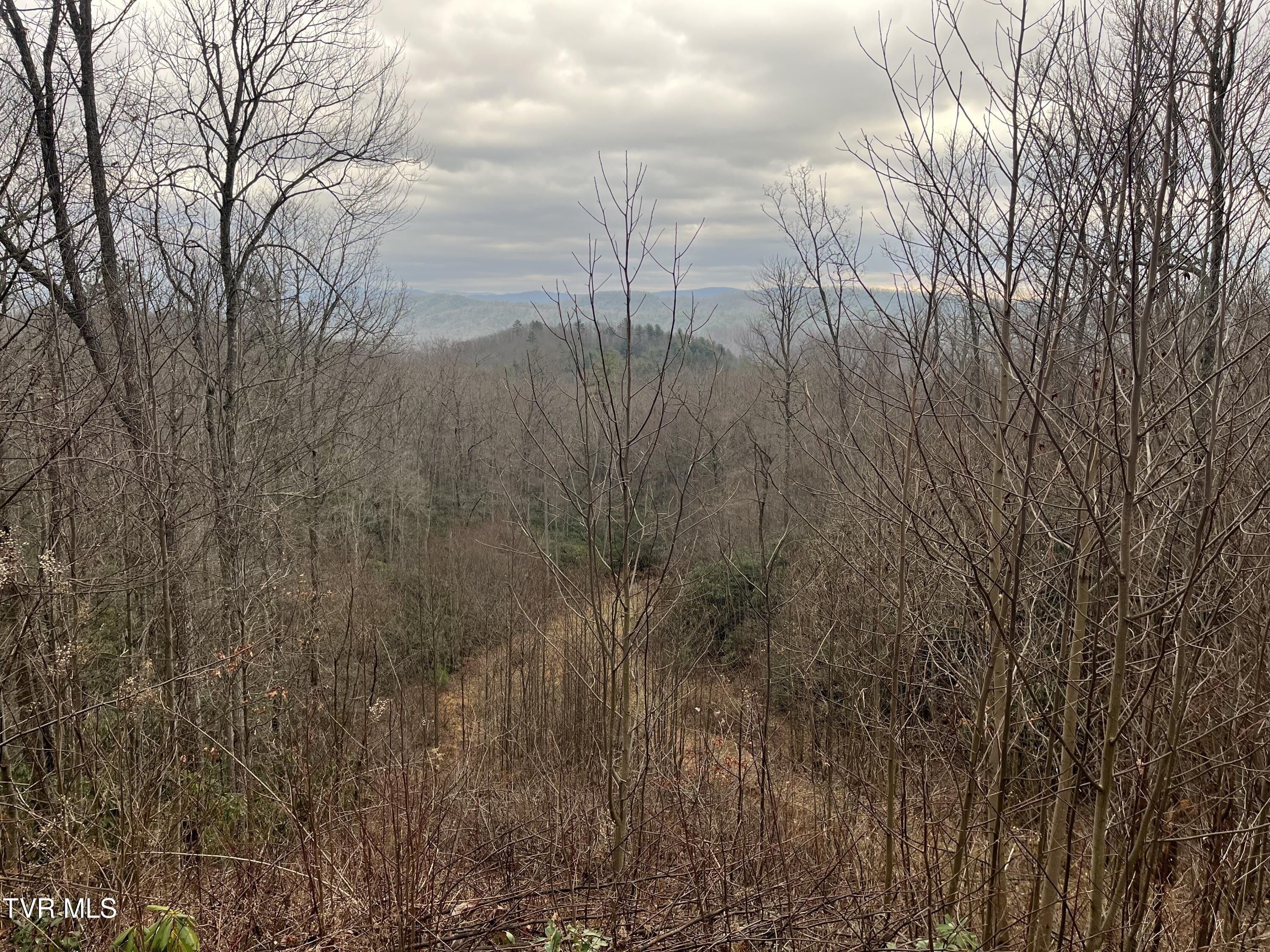 H Proffitt Lane, Butler, TN 37640 | MLS: 9975833 | LandWatch