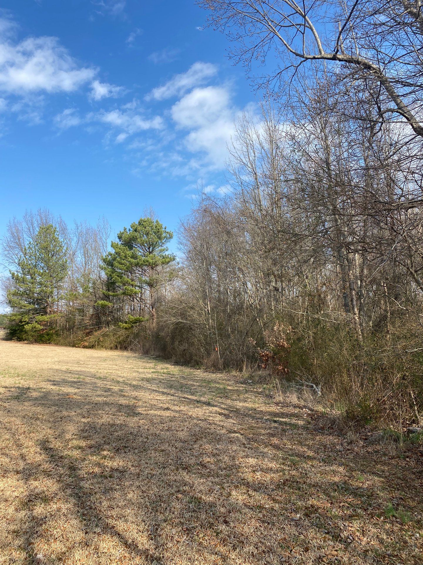Thurman Rd, Union Grove, AL 35175 | LandWatch