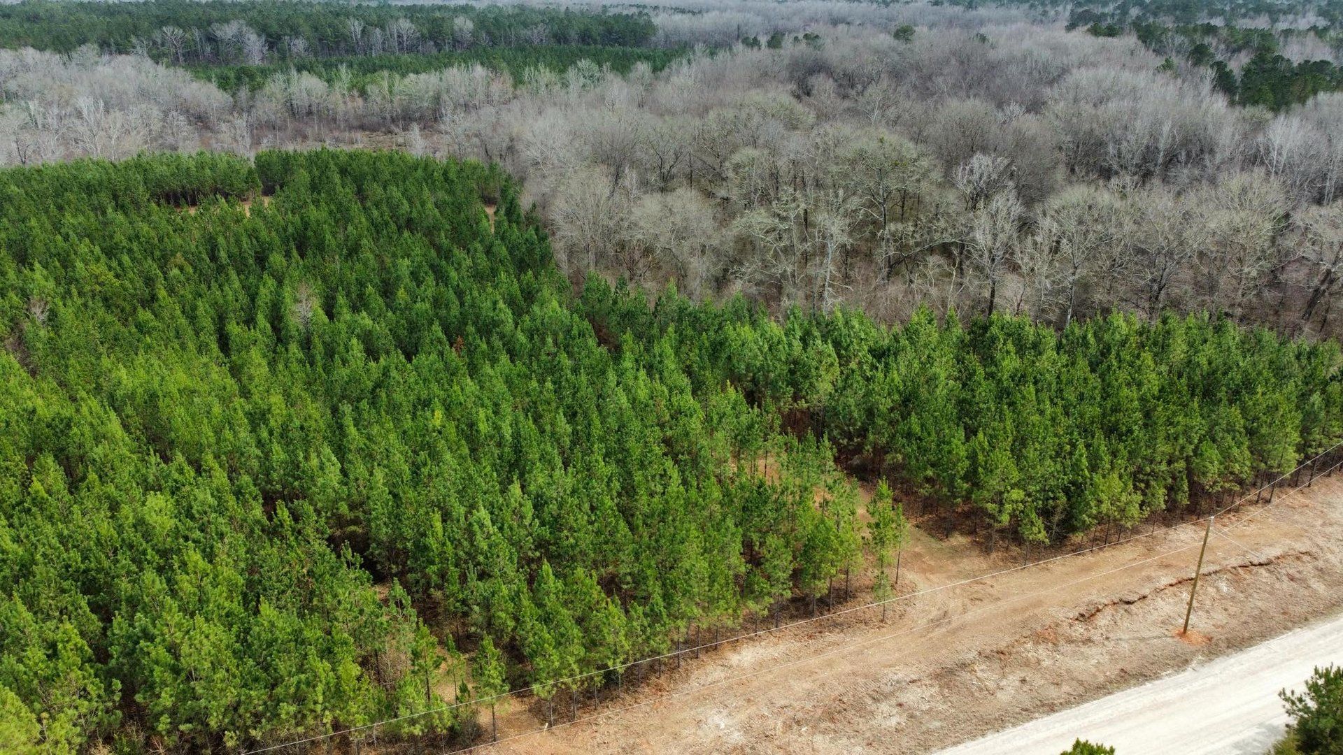 0 Jordon Road, Waverly Hall, GA 31831 | LandWatch