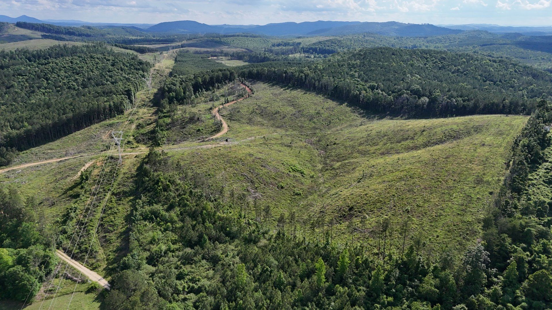 County Road 67, Piedmont, AL 36272 | LandWatch