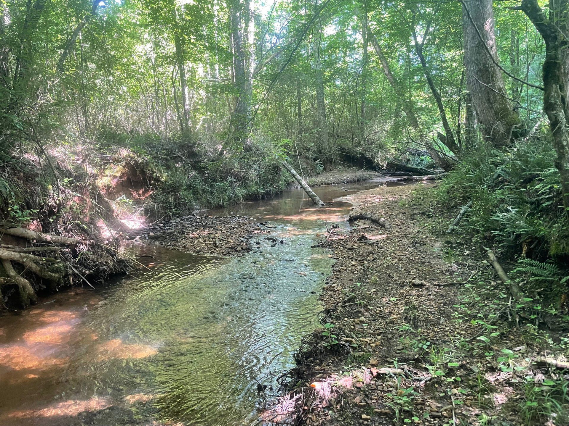 0 Dipping Vat Creek, Wadley, AL 36276 | LandWatch