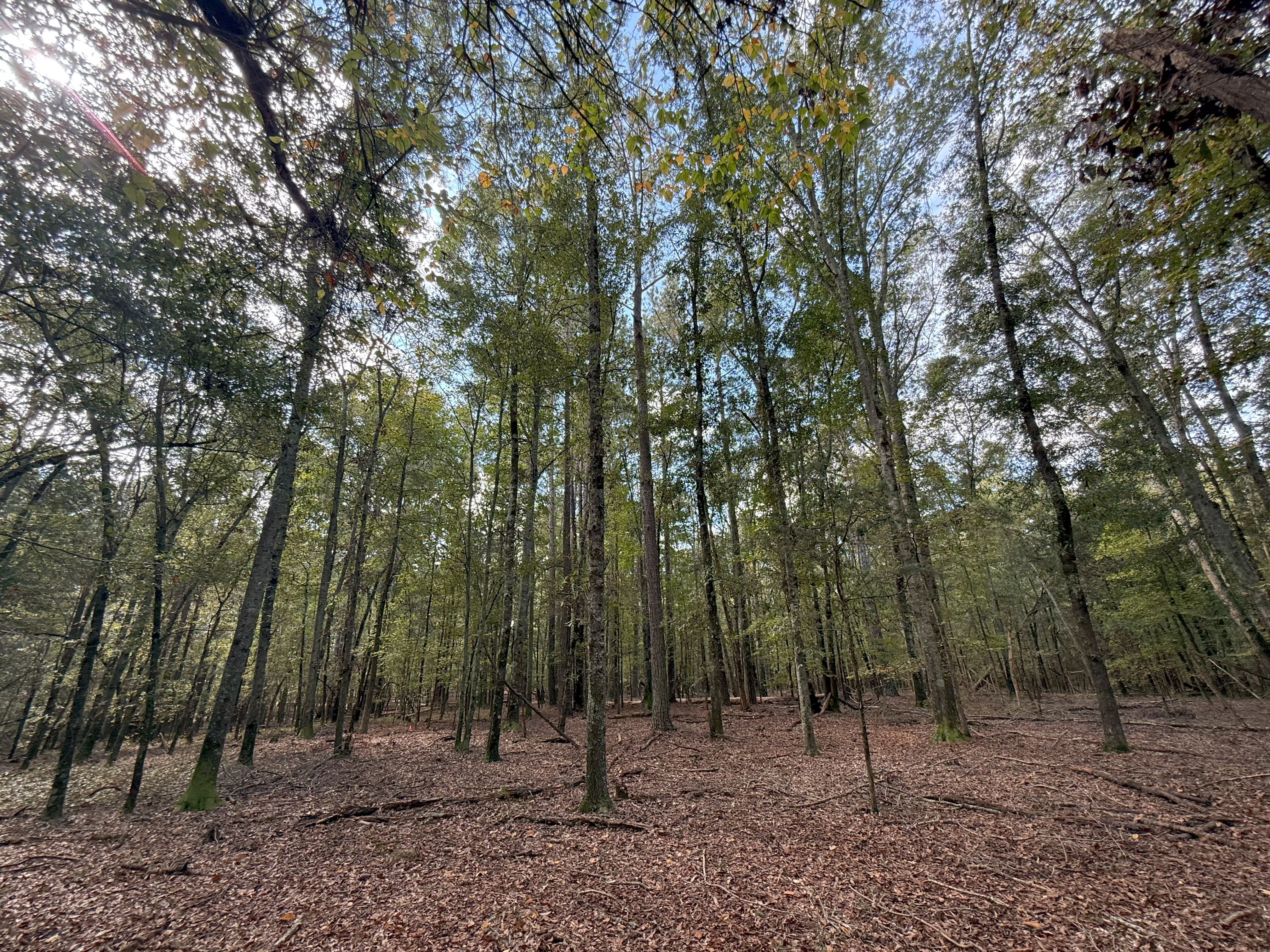 9898 Jefferson River Rd, Athens, GA 30607 | MLS: 10613567 | LandWatch
