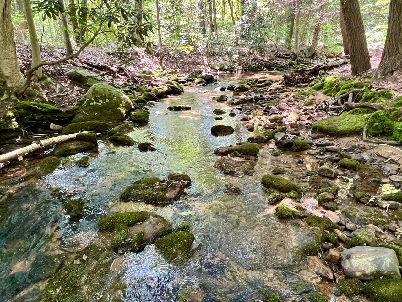 2075 Fort Hill Rd., Addison, PA 15401 | LandWatch