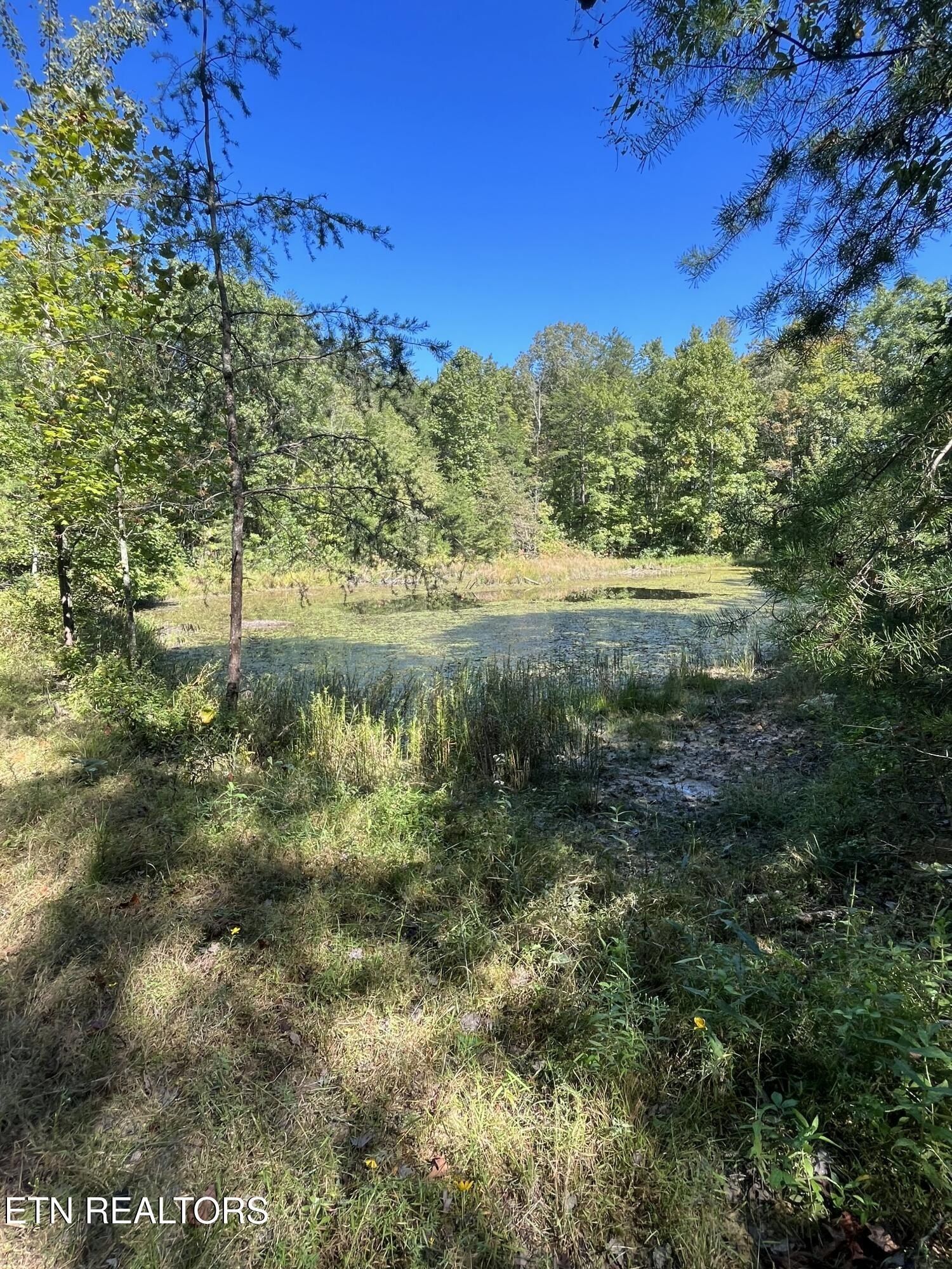 Todd Town Off, Sparta, TN 38583 | MLS: 1317017 | LandWatch