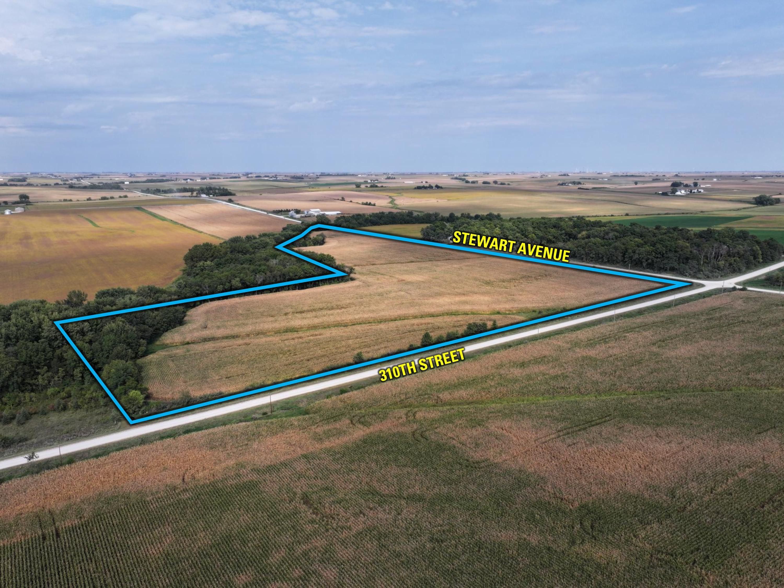 Stewart Avenue, Walker, IA 52352 | MLS: 727404 | LandWatch