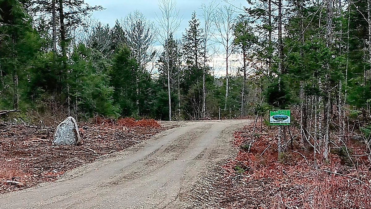 Cobb Road, Lee, ME 04455 | MLS: TMLS1168 | LandWatch