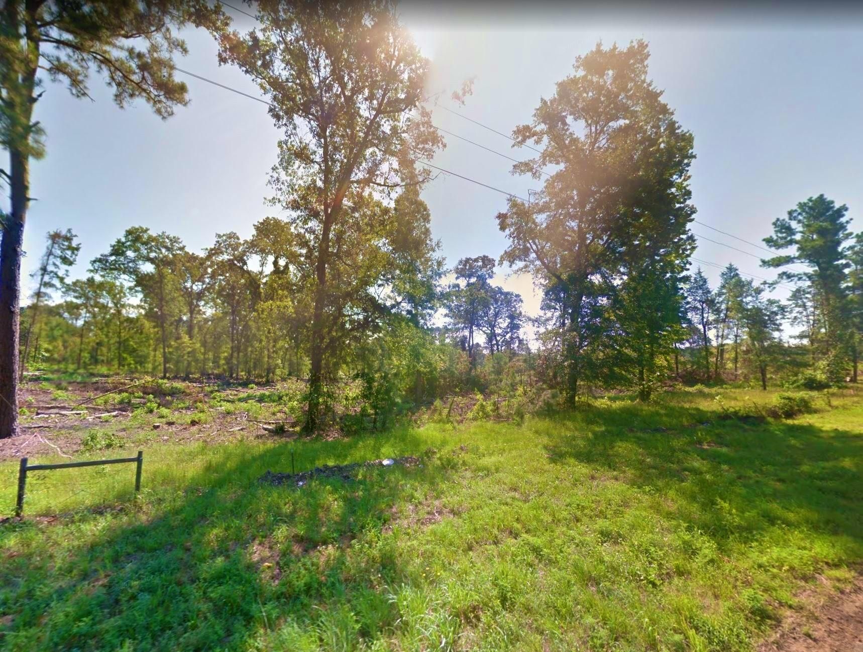 Navajo Drive, Avinger, TX 75630 | LandWatch