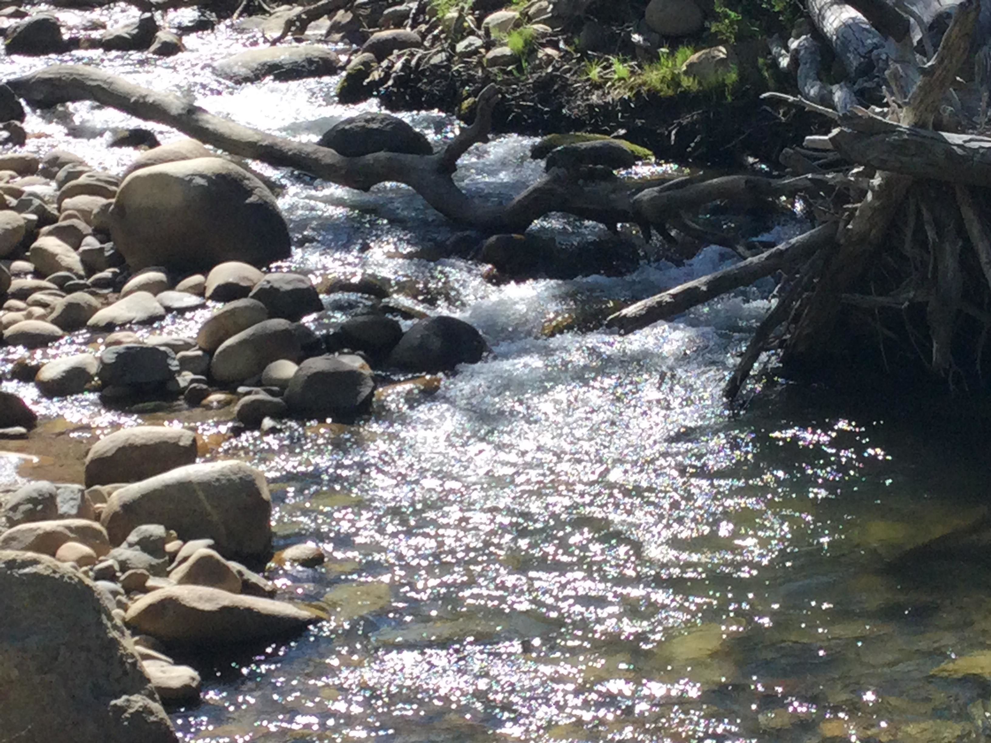 Little Walker River Rd, Bridgeport, CA 93517 | MLS: Exclusive | LandWatch