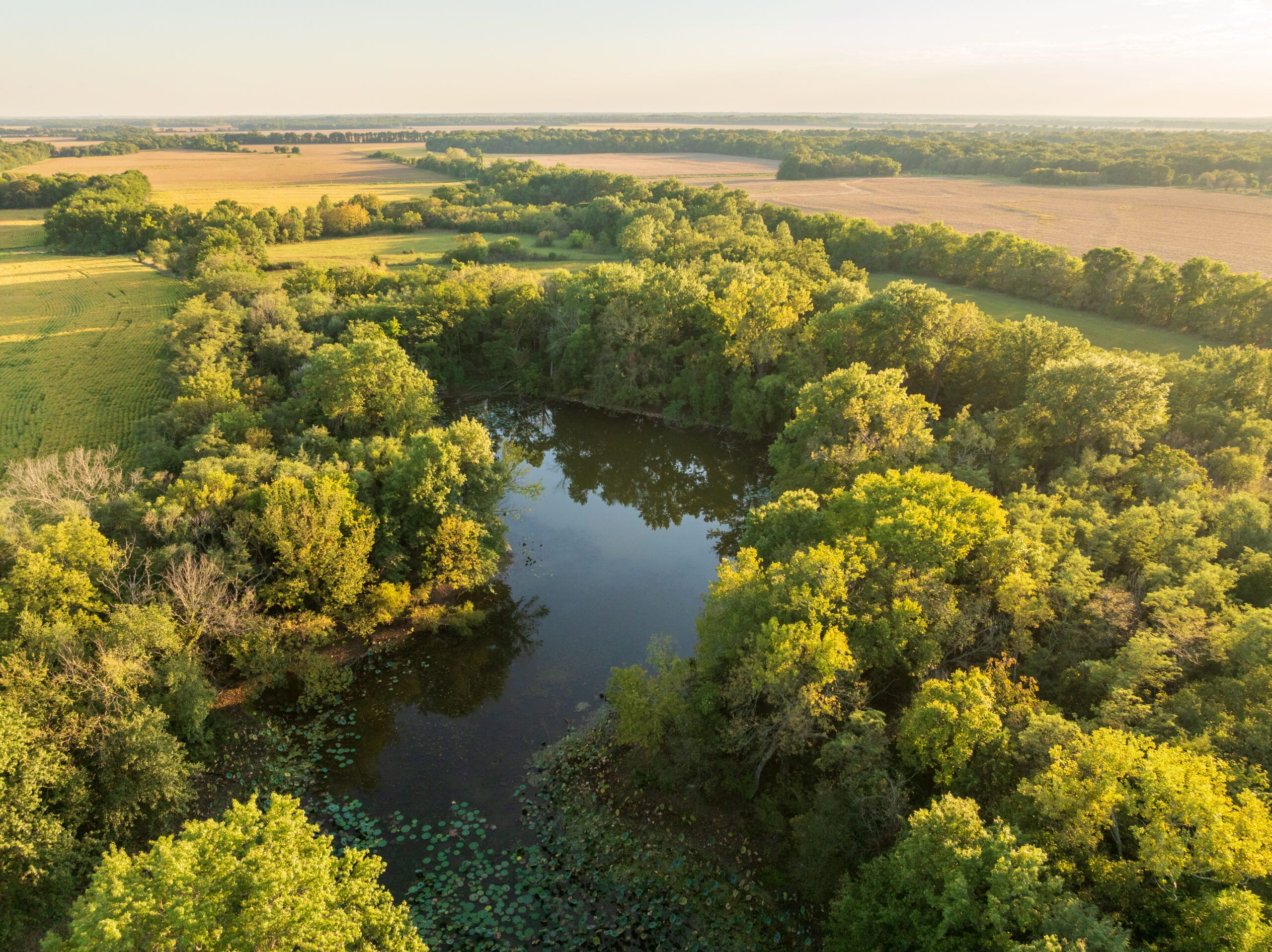 00000 2nd Road, LeRoy, KS 66857 | MLS: Coffey 89 | LandWatch