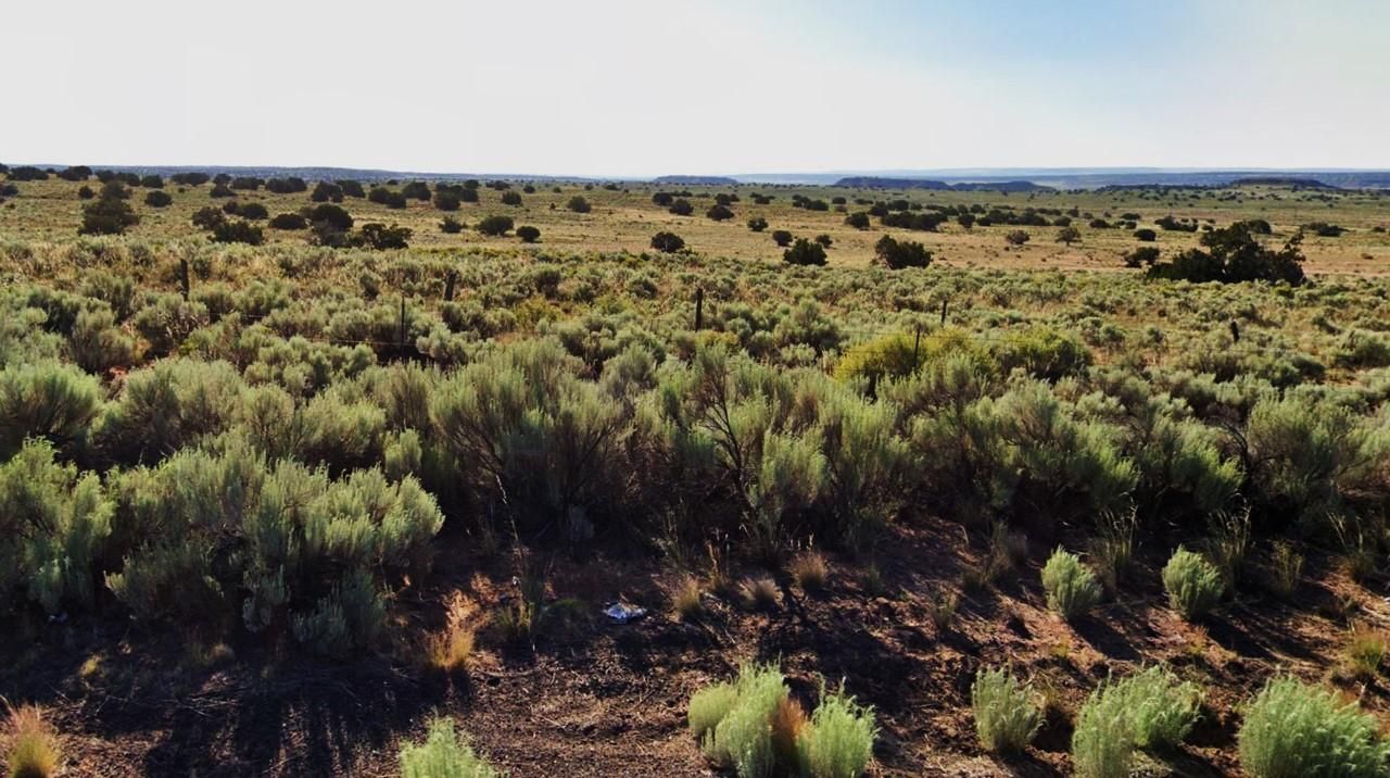 Sanders, Arizona 86512, Apache, AZ 86512 | LandWatch