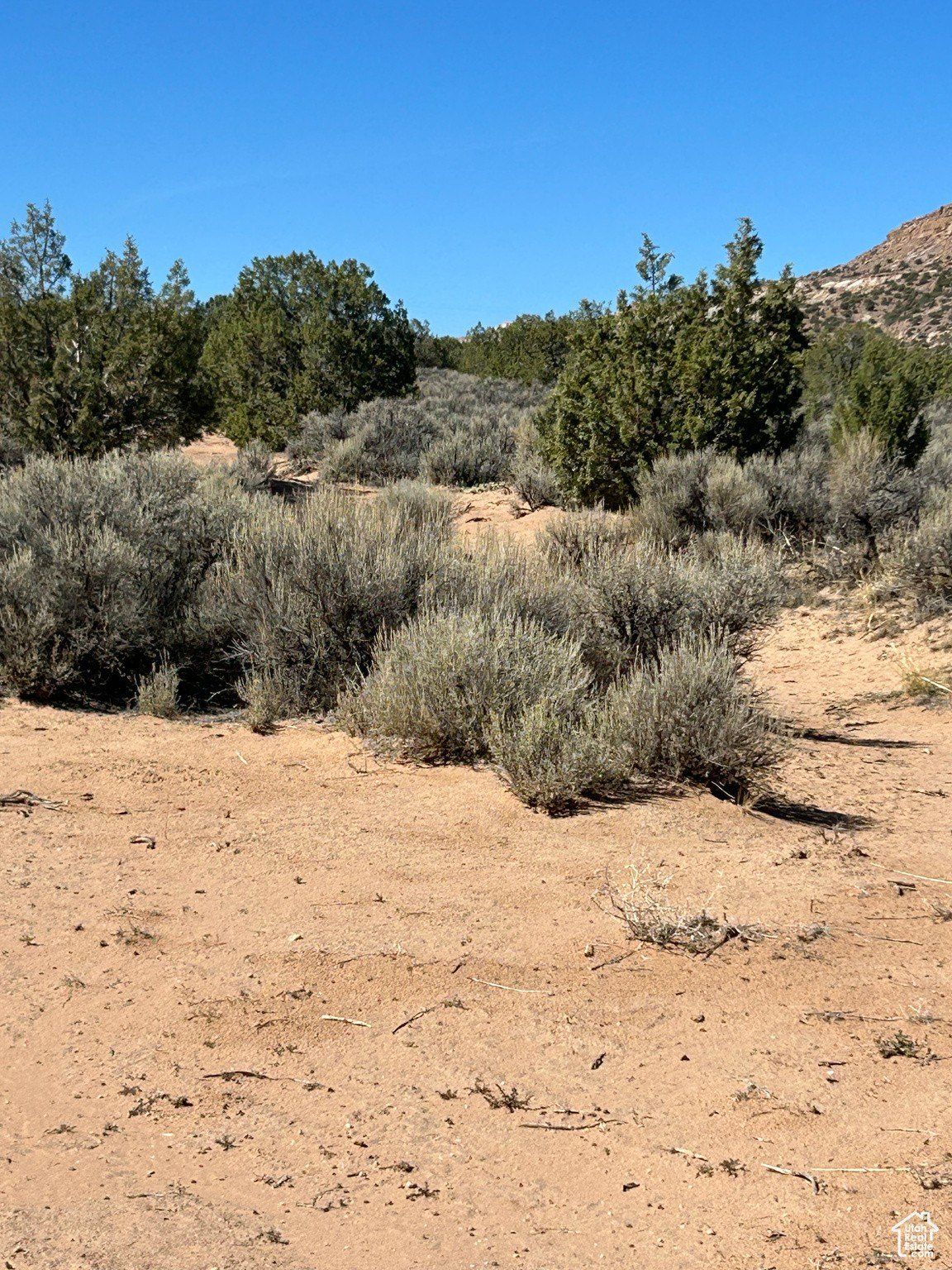10 acres in Bluebell, UT, 84007 | MLS: 2095194 | LandWatch