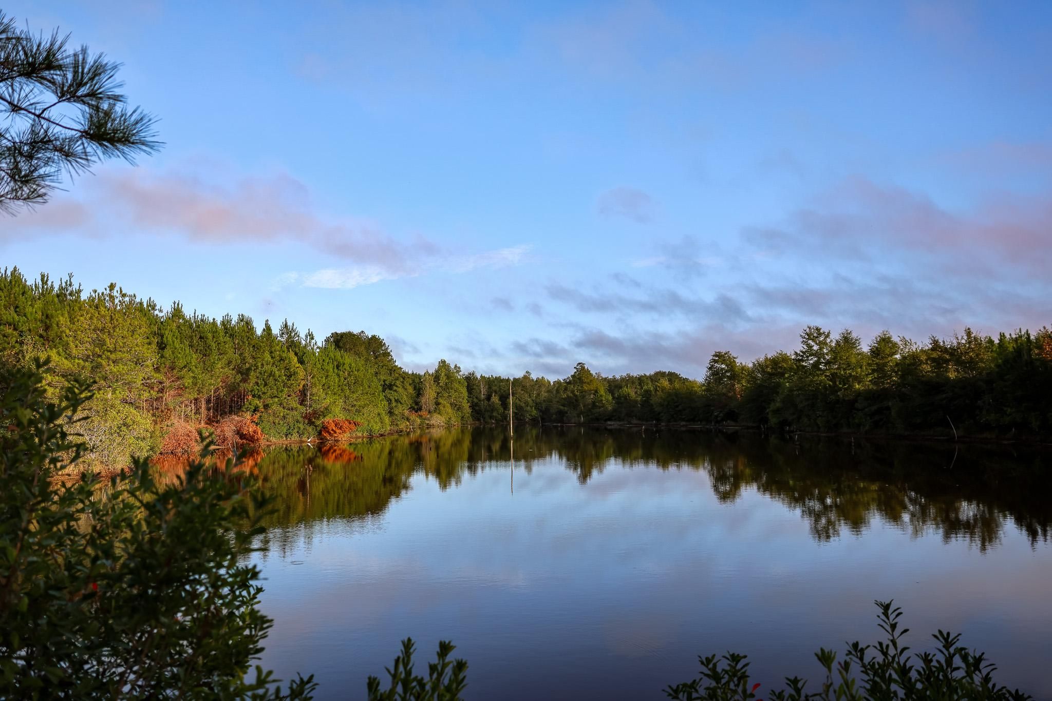 652 acres in Plains, GA, 31780 | LandWatch