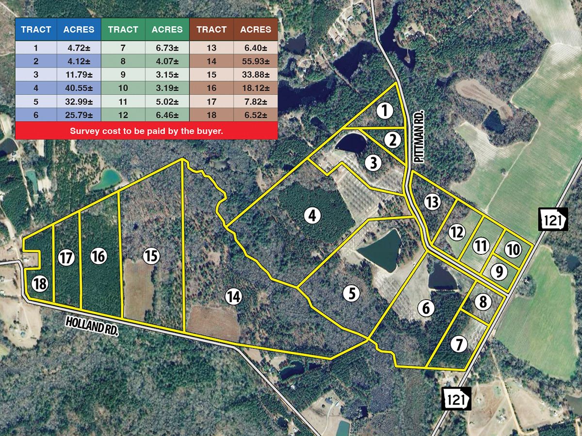 Pittman Road and HWY 121 South, Metter, GA 30439 | LandWatch