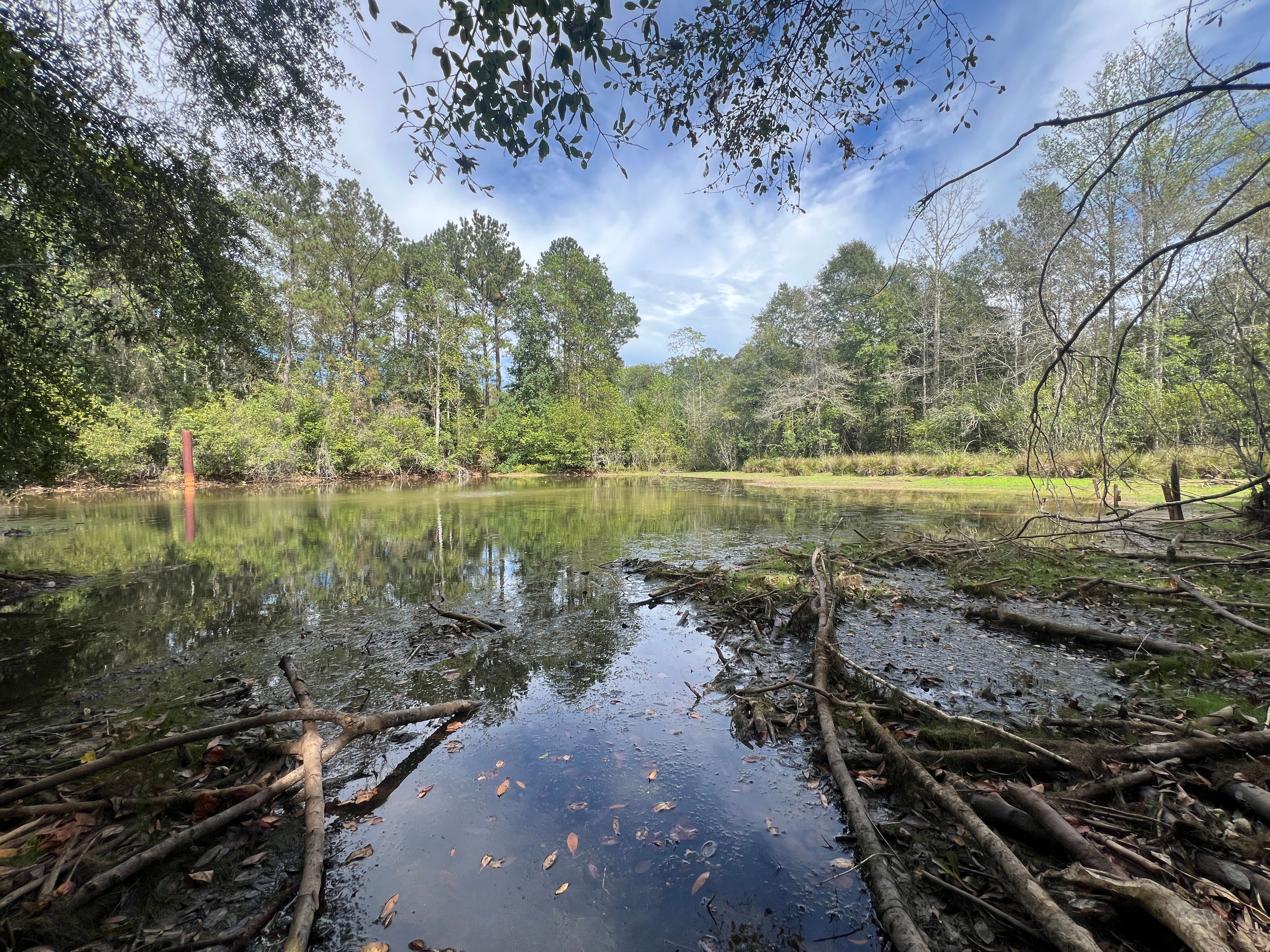 120 County Road 515, Elba, AL 36323 | LandWatch