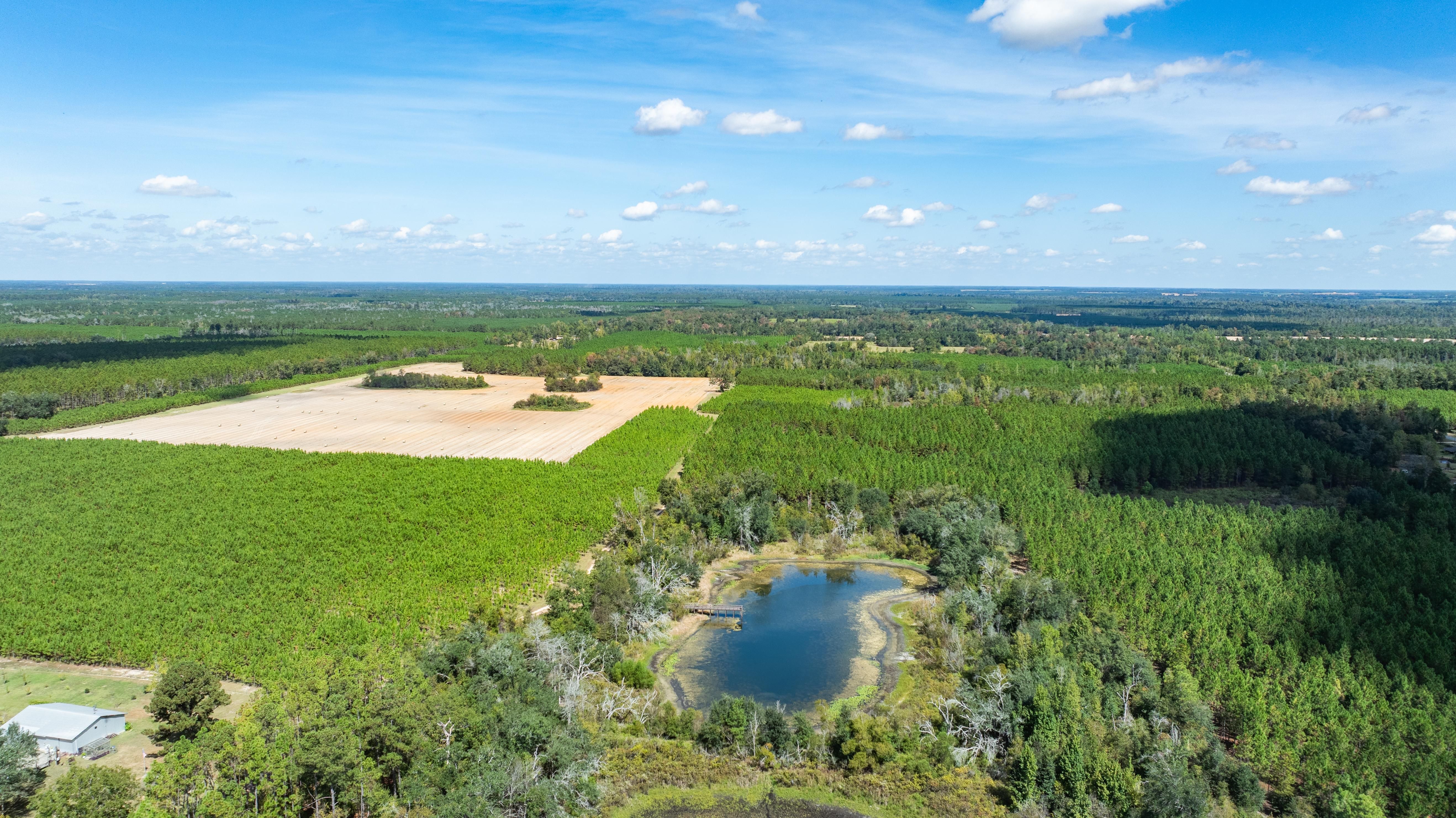 Parramore rd., Sneads, FL 32460 | LandWatch