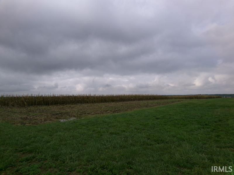 0 950 S Road, Elberfeld, IN 47613 | MLS: 202437585 | LandWatch