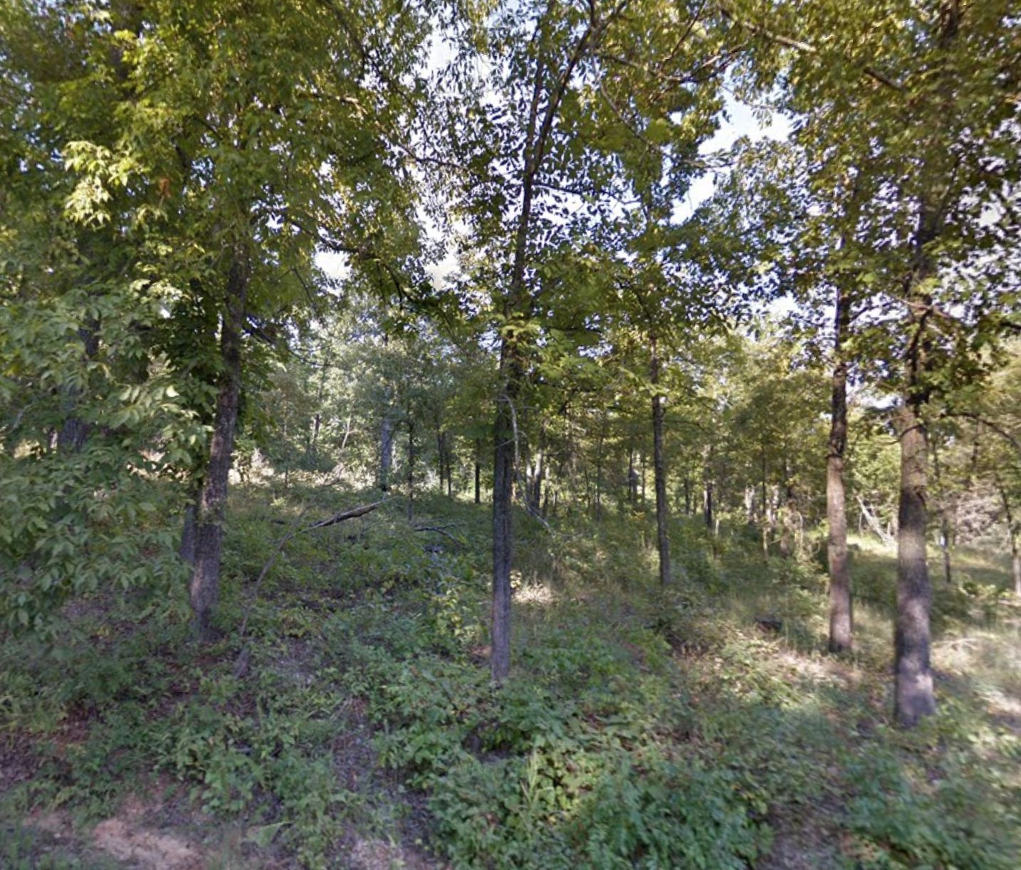 Pheasant Cir, Ozark Acres, AR 72482 | LandWatch