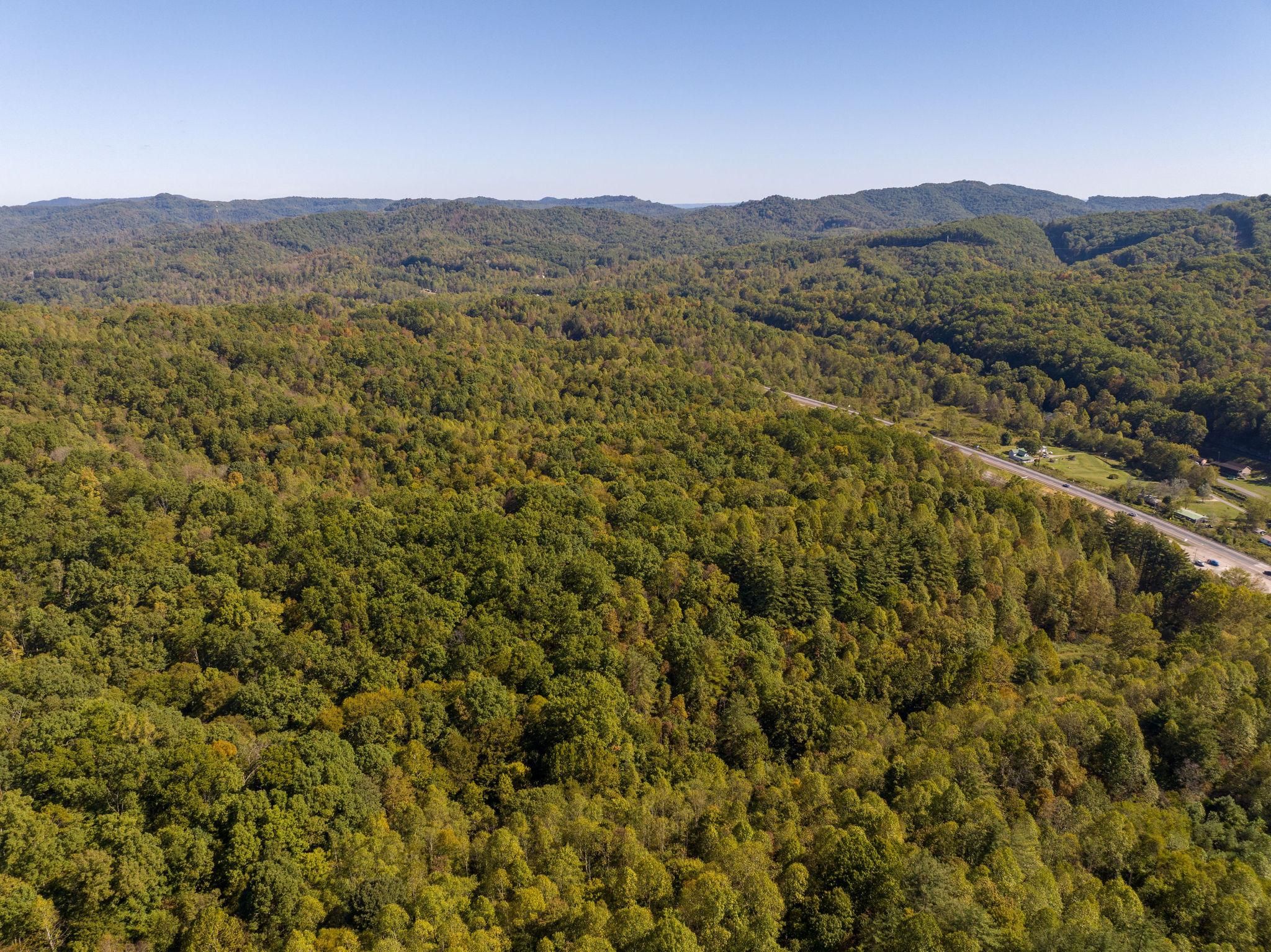 Lively Rd, Scarbro, WV 25917 | LandWatch