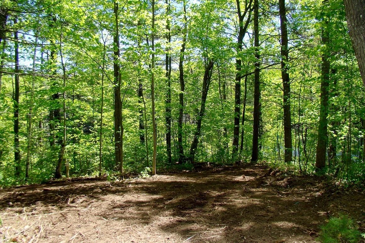 3.1 acres in Phillips, WI, 54555 | LandWatch