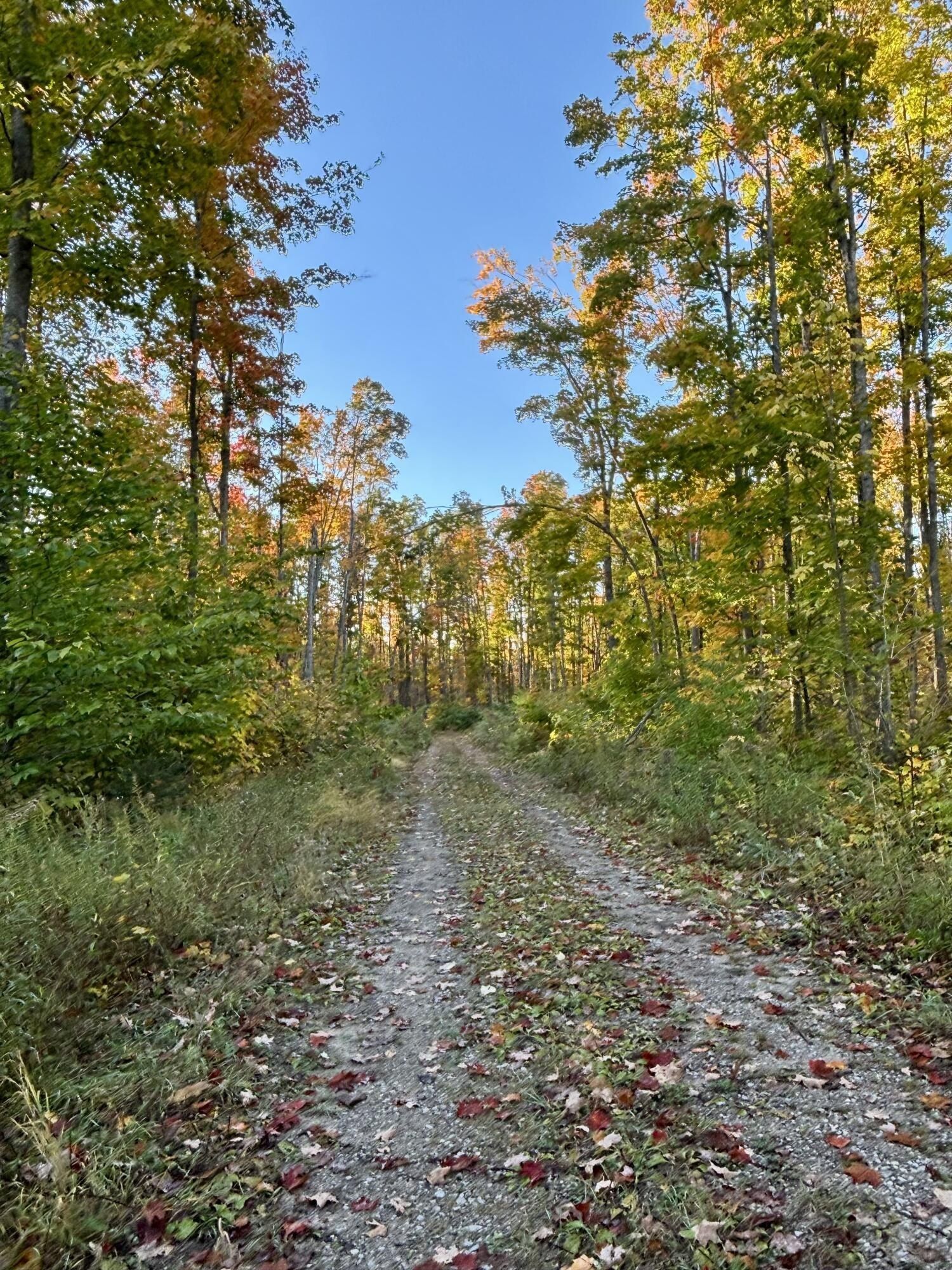 6011 Melody Lane, Afton, MI 49705 | MLS: 201837564 | LandWatch