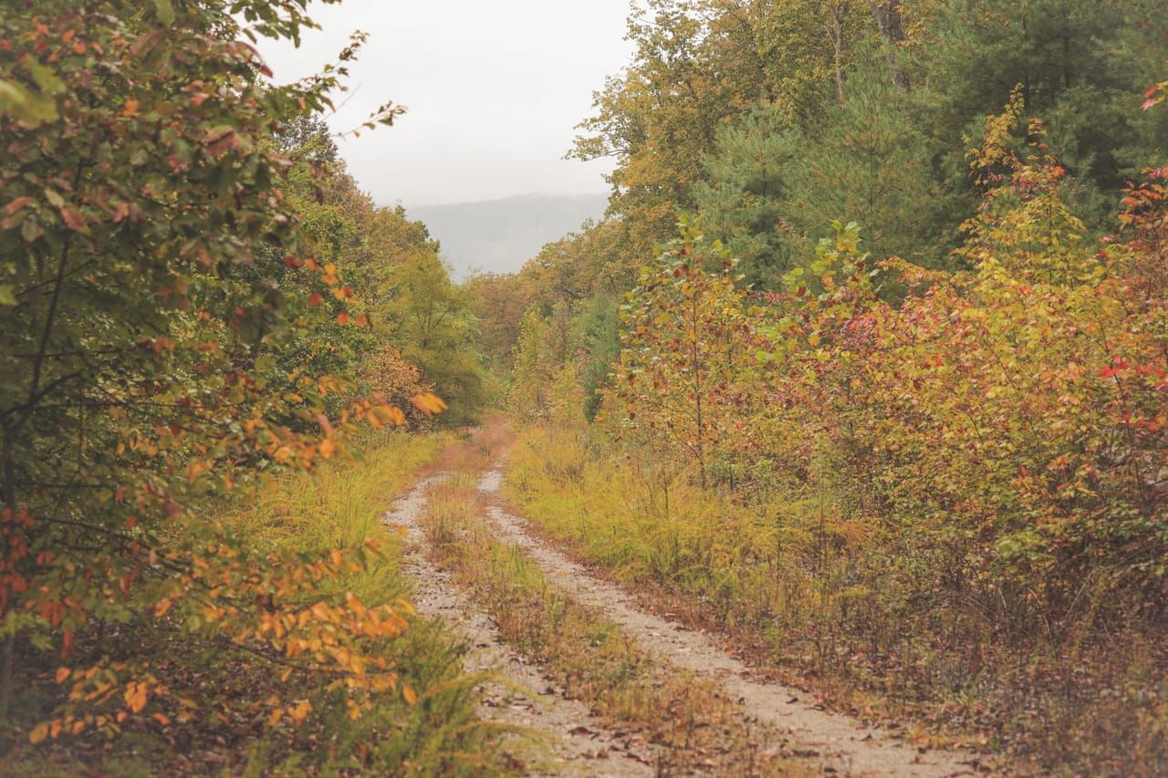 Green Ridge Trail, Oakdale, TN 37829 | LandWatch