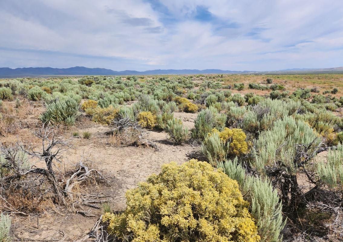 10 acres in Elko, NV, 89801 | LandWatch