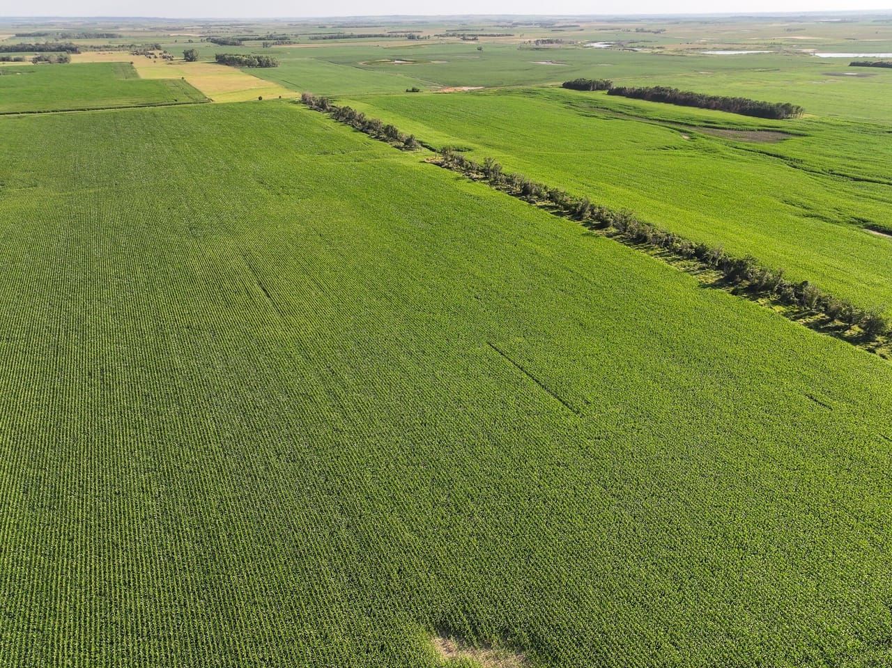 28151 384th Avenue, Armour, SD 57313 | LandWatch