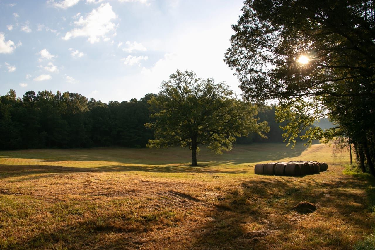 CR 160, Coila, MS 38923 | LandWatch