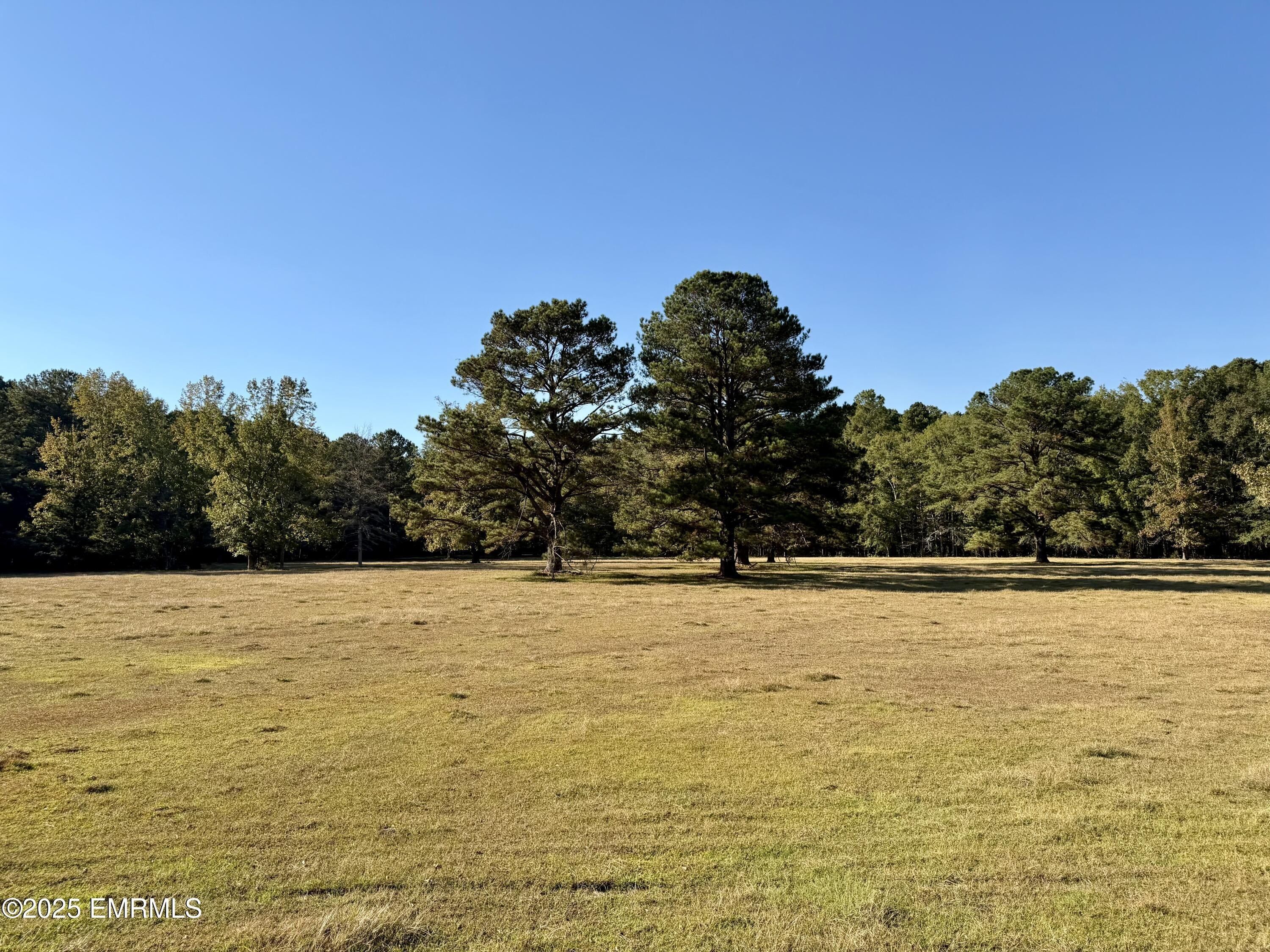 Susan Kennedy Road, Toomsuba, MS 39364 | MLS: 25-977 | LandWatch